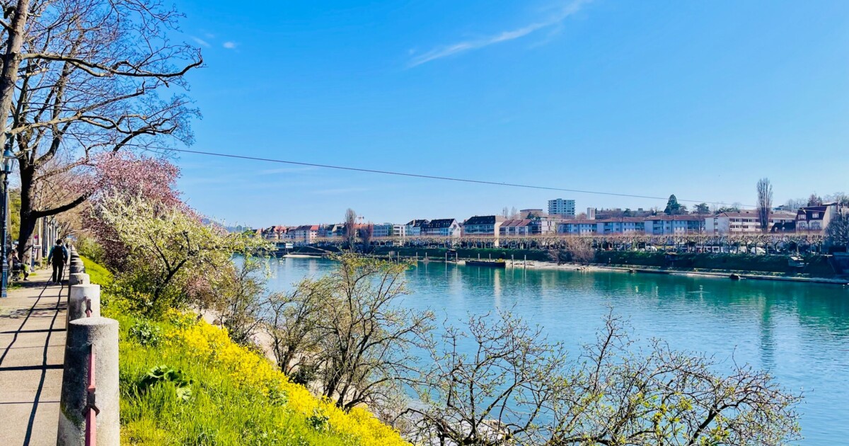 Edition #260 | BaselLive