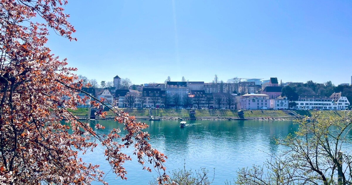 Edition #261 | BaselLive