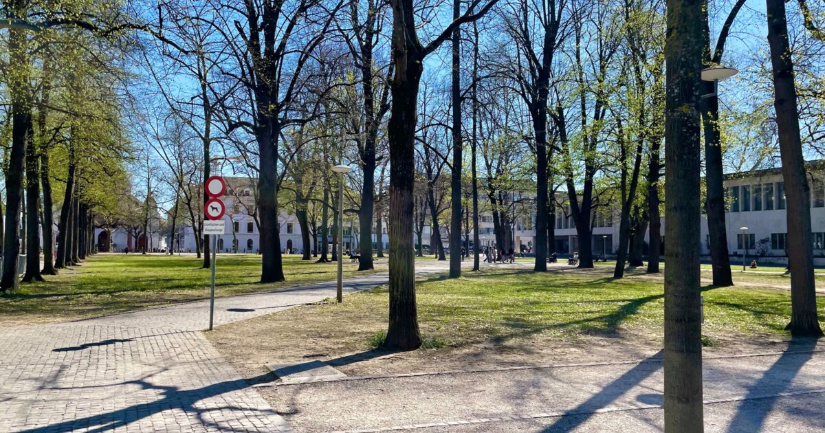 Edition #263 | BaselLive