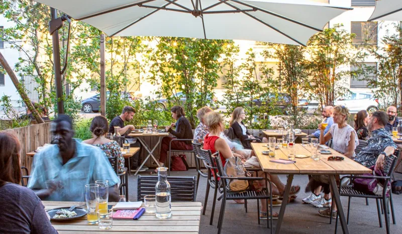 Raus mit dir! | BaselLive