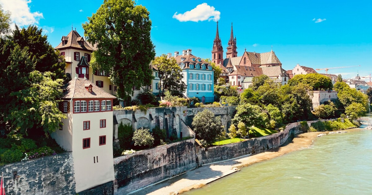 Edition #224 | BaselLive