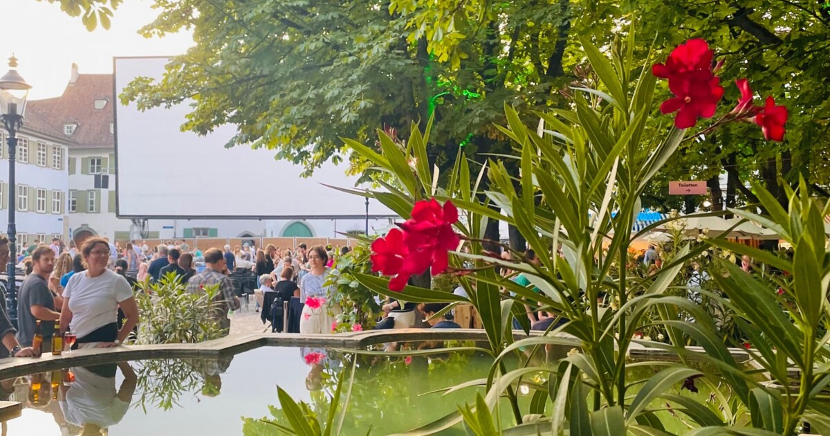 Edition #228 | BaselLive