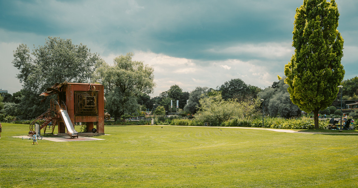 Edition #220 | BaselLive