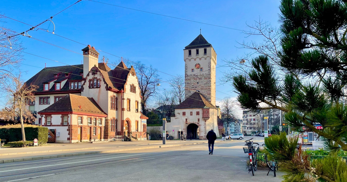 Edition #251 | BaselLive