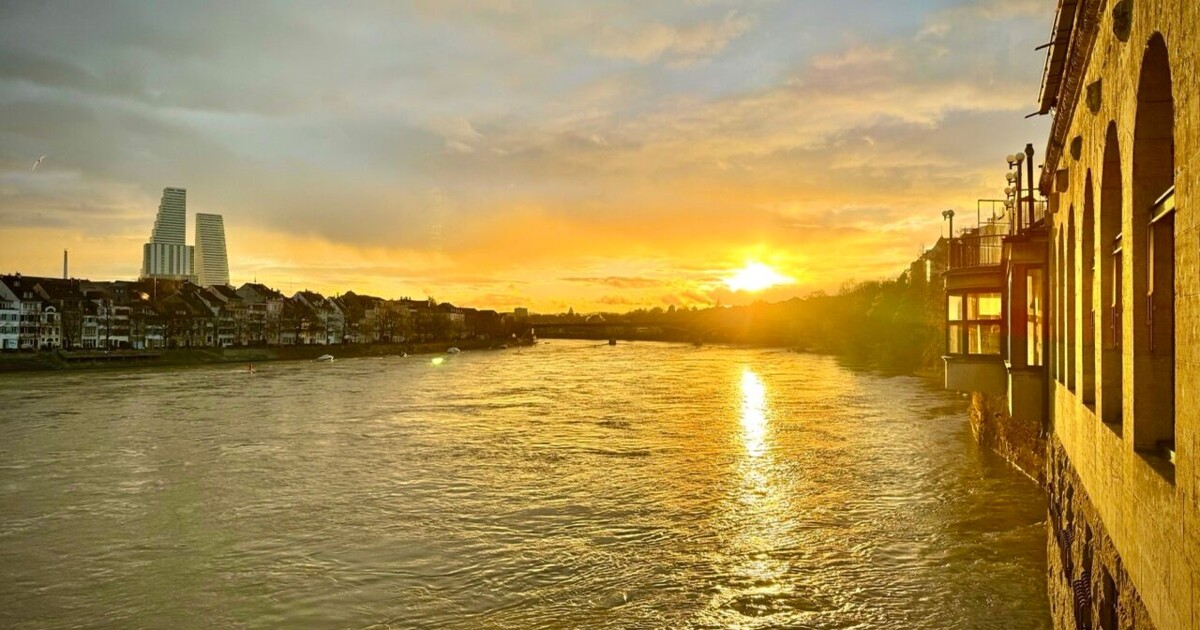 Edition #250 | BaselLive