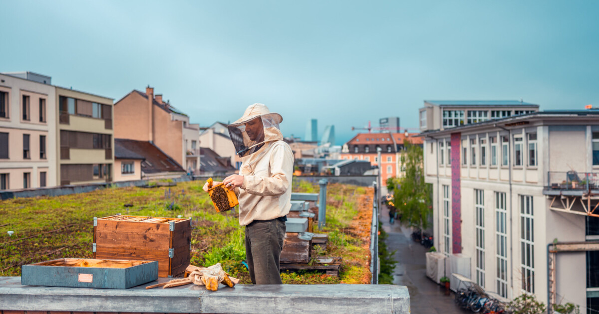 Gundeldingen: Andreas Seiler | BaselLive