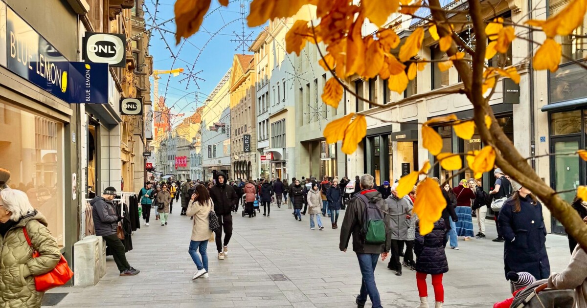 Edition #244 | BaselLive