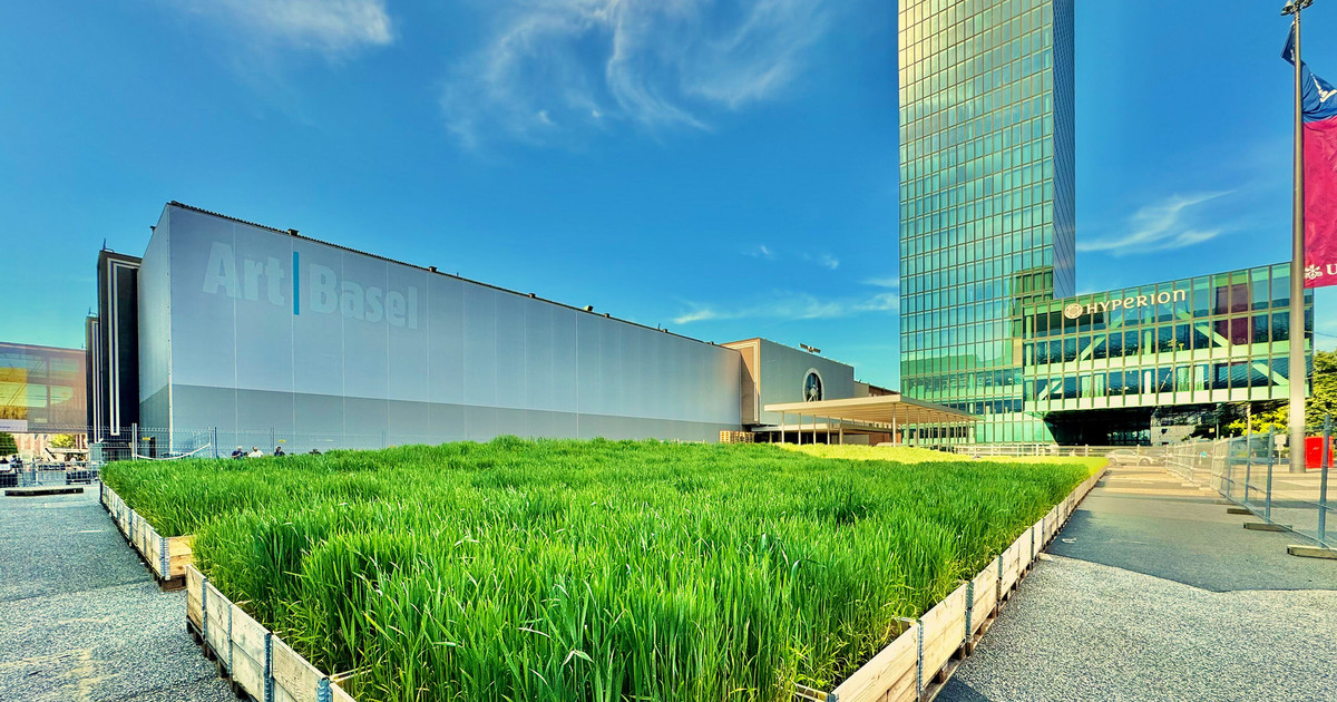 Art Special: Edition #218 | BaselLive