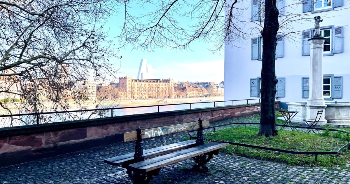 Edition #253 | BaselLive