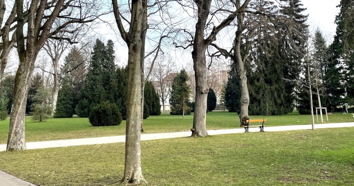 BaselLive Newsletter #146 | BaselLive