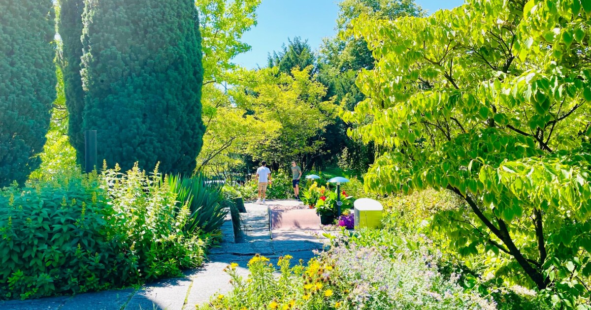 BaselLive Newsletter #173 | BaselLive