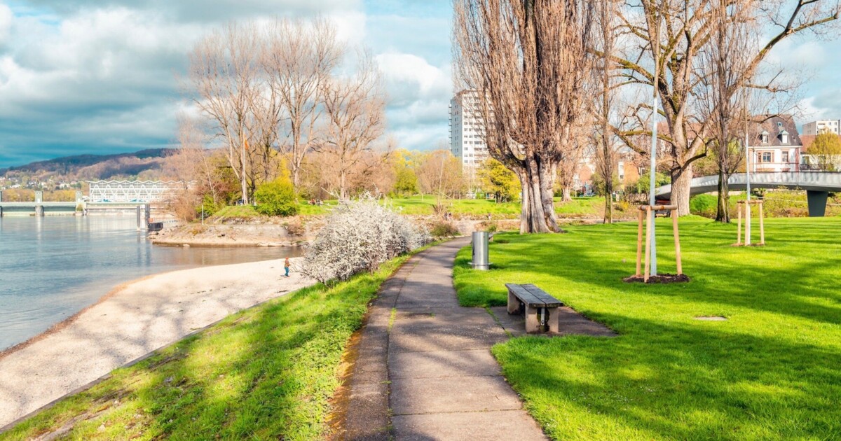 BaselLive Newsletter #187 | BaselLive