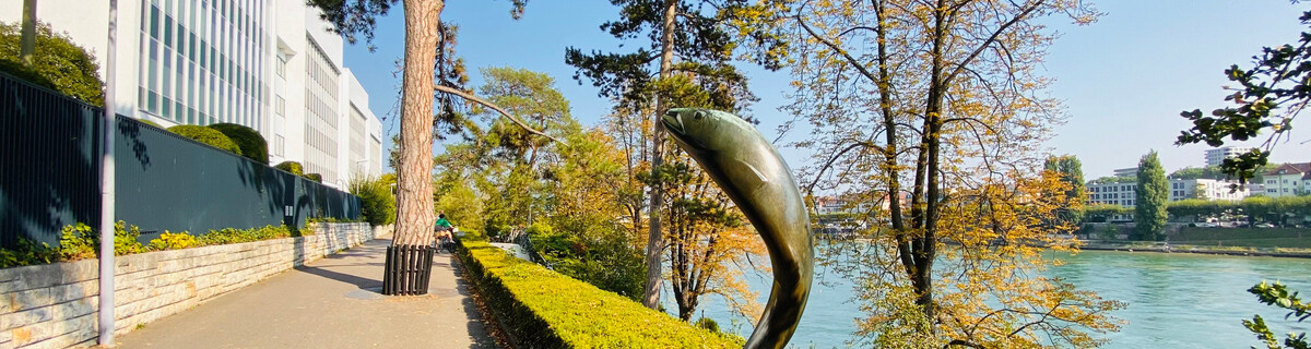 BaselLive Newsletter Edition #24 | BaselLive