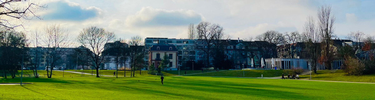 BaselLive Newsletter Edition #41 | BaselLive