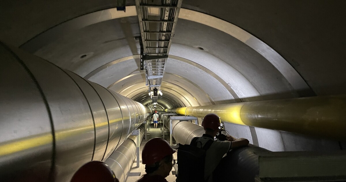 Abtauchen & Ohren spitzen! | BaselLive