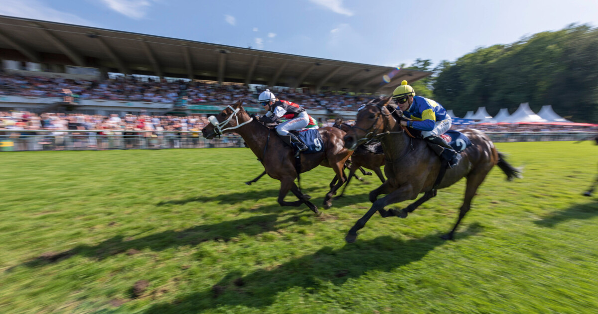 11.05.2025 → Aarauer Pferderennen 2025 - 1. Renntag