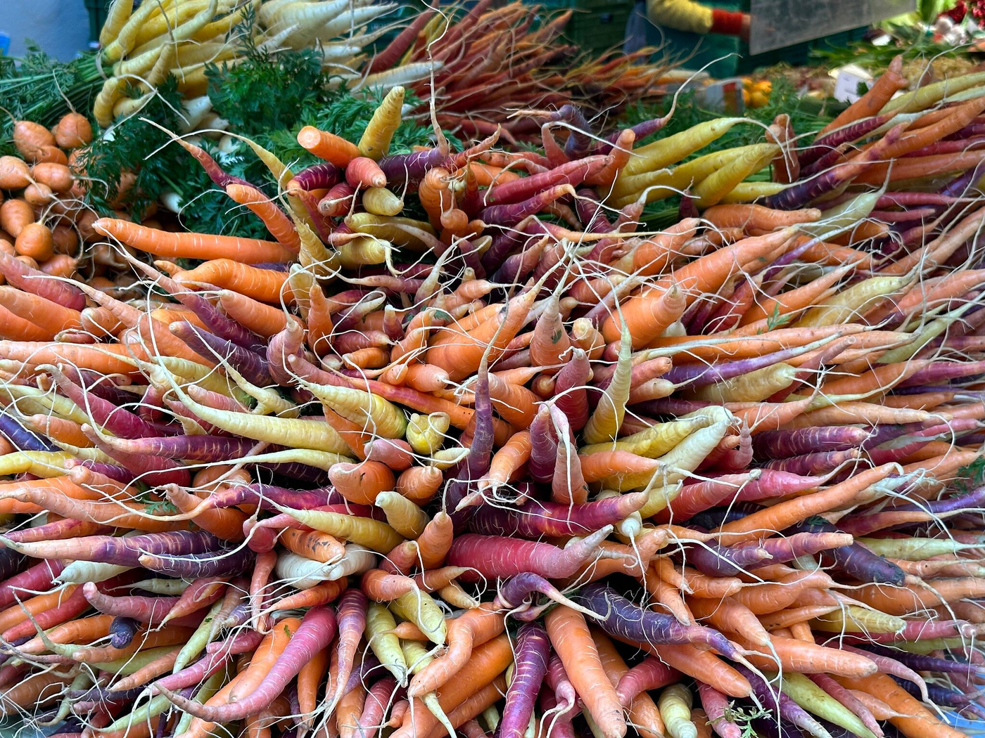 Aarau, eine Stadt mit Traditionen